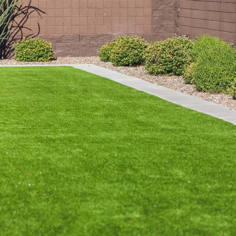 Premium Turf Grass Supplier in Dubai & Abu Dhabi | Top Offer
